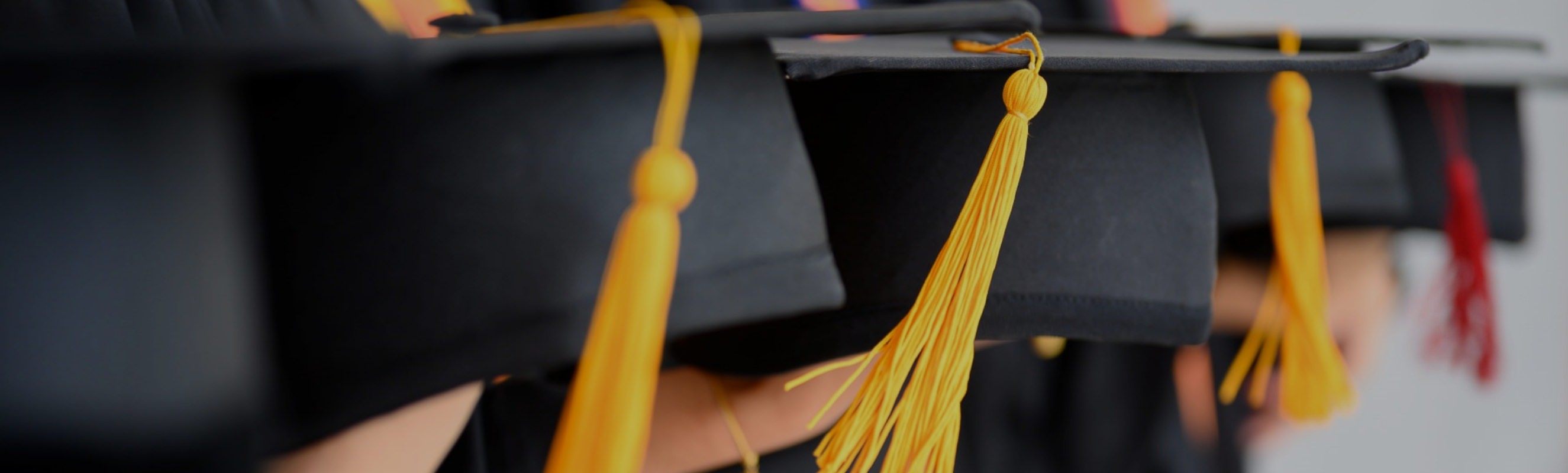 Aula-Virtual: All courses